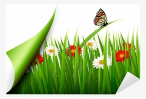 Spring Background With Flowers, Grass And A Butterfly - Spring ...