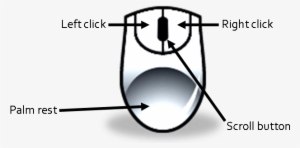 Computer - Parts Of Mouse - 663x328 PNG Download - PNGkit