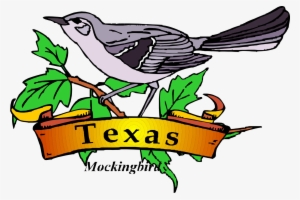Symbols Of Texas Images - Texas State Bird Clipart - 1500x1003 PNG ...