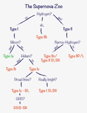 Sn Classification Scheme - Diagram - 558x735 PNG Download - PNGkit
