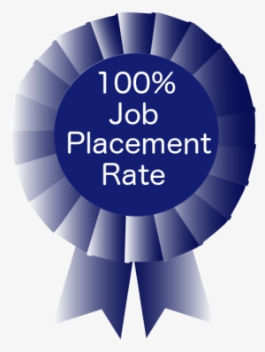 100% Job Placement Rate - 100% Placement - 500x656 PNG Download - PNGkit