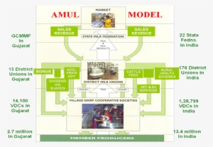 1 The Amul Model - Distribution Channel Of Amul - 639x436 PNG Download ...