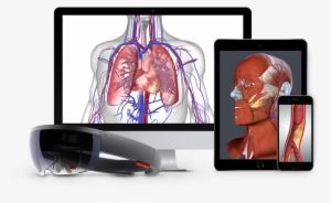 Biodigital Human Platform - Biodigital - 1000x600 PNG Download - PNGkit