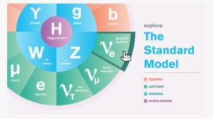 Standard Model Of Elementary Particles Hu - Standard Model Of ...