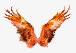Fire Wing Png Clip Art Library Library - Fire Wing Png Transparent ...