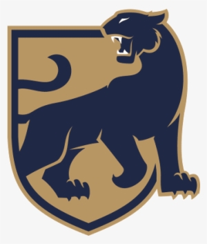 Kipp Dc Panthers Logo Ashton Design - Logo - 960x960 PNG Download - PNGkit