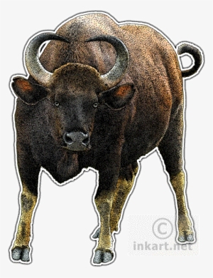 Indian Gaur Decal - Gaur Art - 453x590 PNG Download - PNGkit