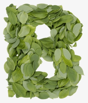 Summer Leaves Font - Font - 595x595 PNG Download - PNGkit