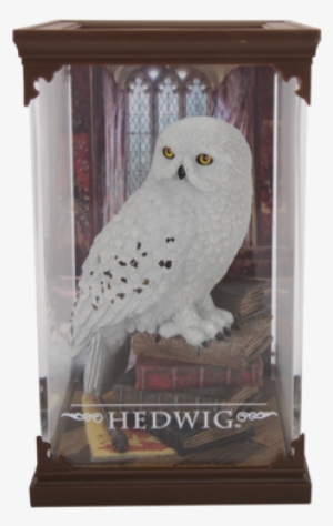 Hedwig By Anyatagomachii On Deviantart Png - Cartoon Hedwig - 1063x752 ...