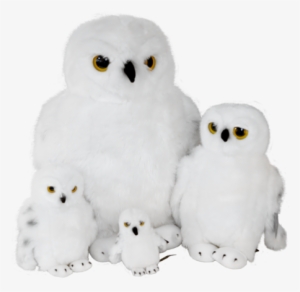 Hedwig Plush - Small - Hedwig - 469x480 PNG Download - PNGkit