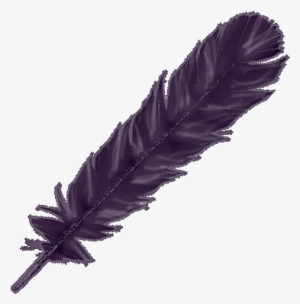 Raven Feather Png - 1000x695 PNG Download - PNGkit