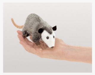 Folkmanis Mini Opossum Finger Puppet Plush - 540x540 PNG Download - PNGkit