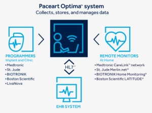 Paceart Optima Ecosystem Graphics - Graphic Design - 735x550 PNG ...