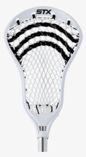 Stx Stallion 50 Complete Stick - Olympia Athletics Lacrosse Equipment ...