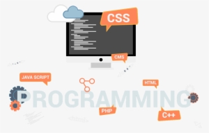 Programming - Website - 1139x772 PNG Download - PNGkit
