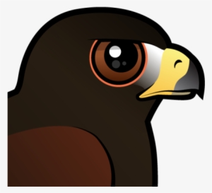 About The Harris Hawk - Cartoon Harris Hawk - 440x440 PNG Download - PNGkit