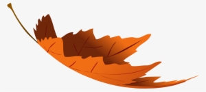 Autumn Leaves - Fall Pictures For Email Signatures - 827x771 PNG ...