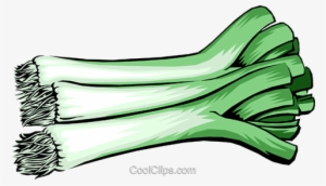 Three Leeks Royalty Free Vector Clip Art Illustration - Welsh Leek ...