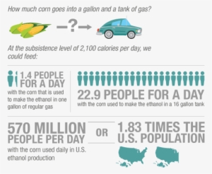 Researchers Crunch The Numbers On The Food Value Of - Ethanol Fuel ...