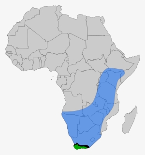 Cape And African Honey Bee Range - Africa Map - 2000x2050 PNG Download ...