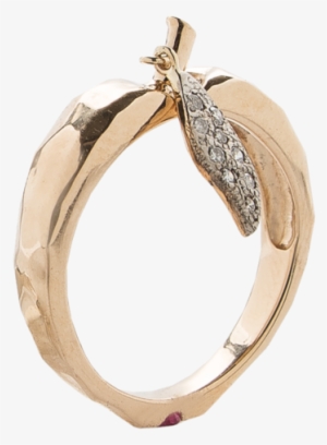 Golden Apple Ring With Diamond Leaf And Ruby Core A - Engagement Ring ...