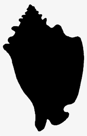 A Conch To Represent Shells - Conch Silhouette - 694x1084 PNG Download ...