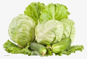 Cabbage Png Image - Kubis Png - 3067x2094 PNG Download - PNGkit