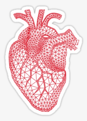 Anatomical Heart, Red Glass, Heart Art, Human Heart, - Glass Anatomical ...