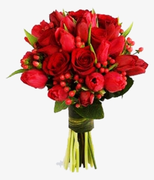 Dozen Roses - 522x588 PNG Download - PNGkit