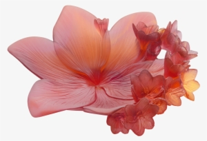 Coupe Gm Safran 05611 - 1000x709 PNG Download - PNGkit