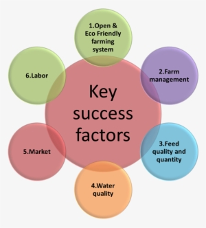 Key Success Factors - Dama Data Quality Dimensions - 780x800 PNG ...