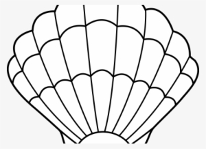 Shell Clip Art - Sea Shells Cut Out - 440x320 PNG Download - PNGkit