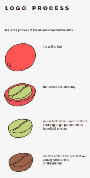 The Plan Of The Coffee Fruit, Starting From The More - Anatomy Of ...
