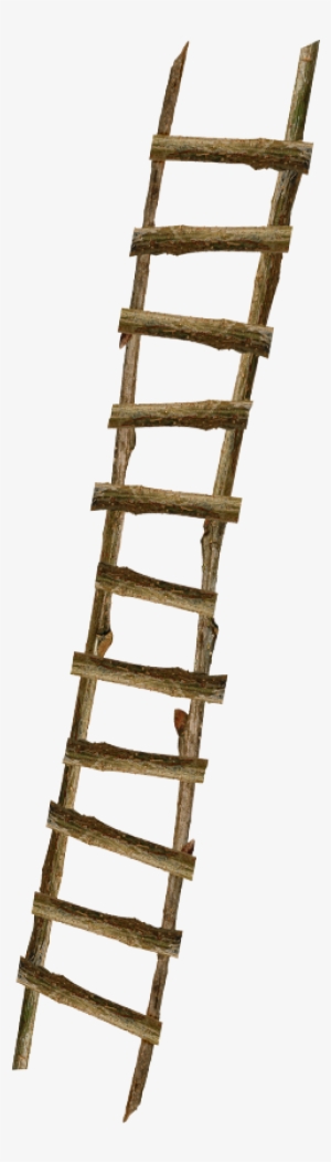 Mq Ladder Brown Climbing Wood - Cartoon Wooden Ladder On Rope - 240x841 ...