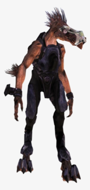 Jackal Sniper - Halo 3 Jackal Sniper - 300x465 PNG Download - PNGkit