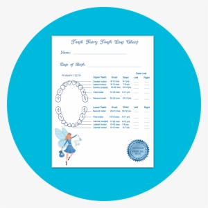 Tooth Lost Chart - Scalable Vector Graphics - 2764x2764 PNG Download ...