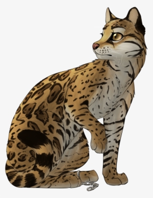 Ocelote Png - 785x1018 PNG Download - PNGkit