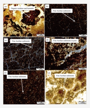 Thin Section Images Of Core Sample - 903x886 PNG Download - PNGkit