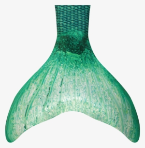 Fin Fun Tail Png - 500x500 PNG Download - PNGkit