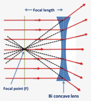 Diverging Light Rays - Lens - 698x782 PNG Download - PNGkit