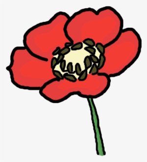 Ww2 Poppies, Ww1 Poppies - Ww1 Poppies Png - 443x301 PNG Download - PNGkit