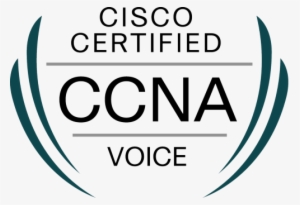 Ccna Voice - Cisco Ccna - 500x342 PNG Download - PNGkit