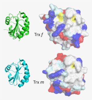 Figure - Figure-four - 391x422 PNG Download - PNGkit