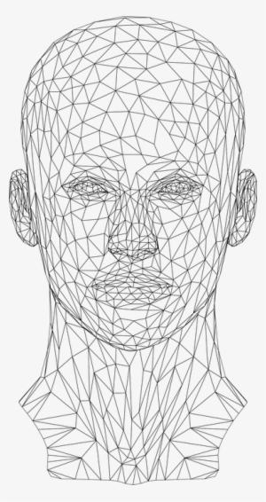 3d Wireframe Face Transparent - 381x720 PNG Download - PNGkit