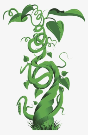 Beanstalk PNG, Free HD Beanstalk Transparent Image - PNGkit