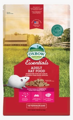 Adult Rat Food - Oxbow Essentials Regal Rat Food - 3 Lb Bag - 500x722 ...