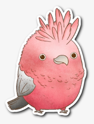Galah Cockatoo Sticker - Galah Cartoon Transparent - 1064x1064 PNG ...