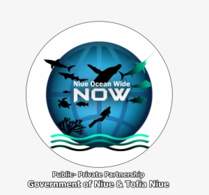 Final Design-with White Ring - Tofia - 1000x1410 PNG Download - PNGkit