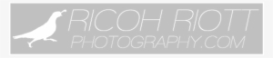 Ricoh Riott - Photography - 1125x247 PNG Download - PNGkit