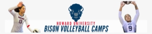 Howard University - Volleyball - Howard University Bison Die-cut Vinyl ...